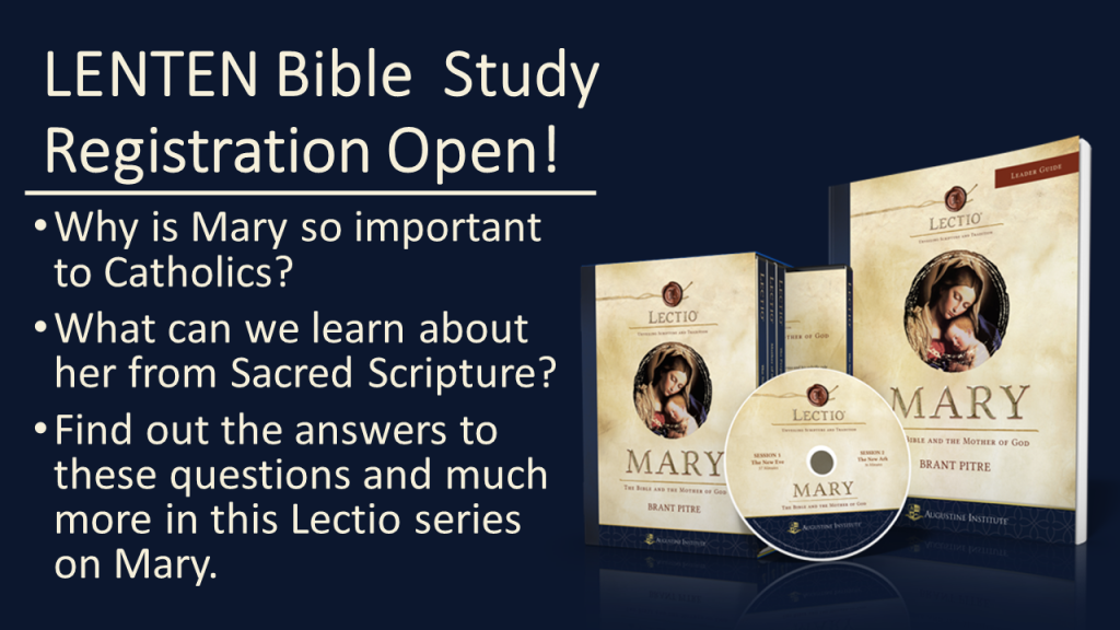 Bible Study | The Catholic Church of St. Rita