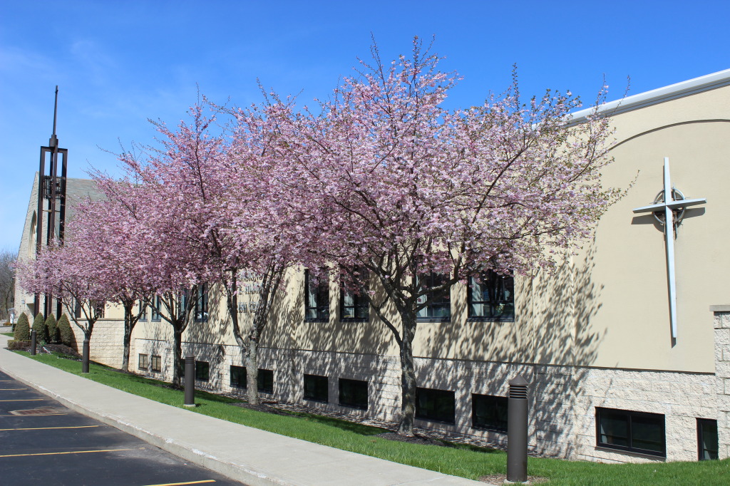 Parish Center | Our Lady of Peace Roman Catholic Church
